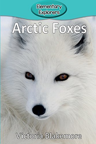Arctic Foxes (Elementary Explorers) by Victoria Blakemore | Goodreads