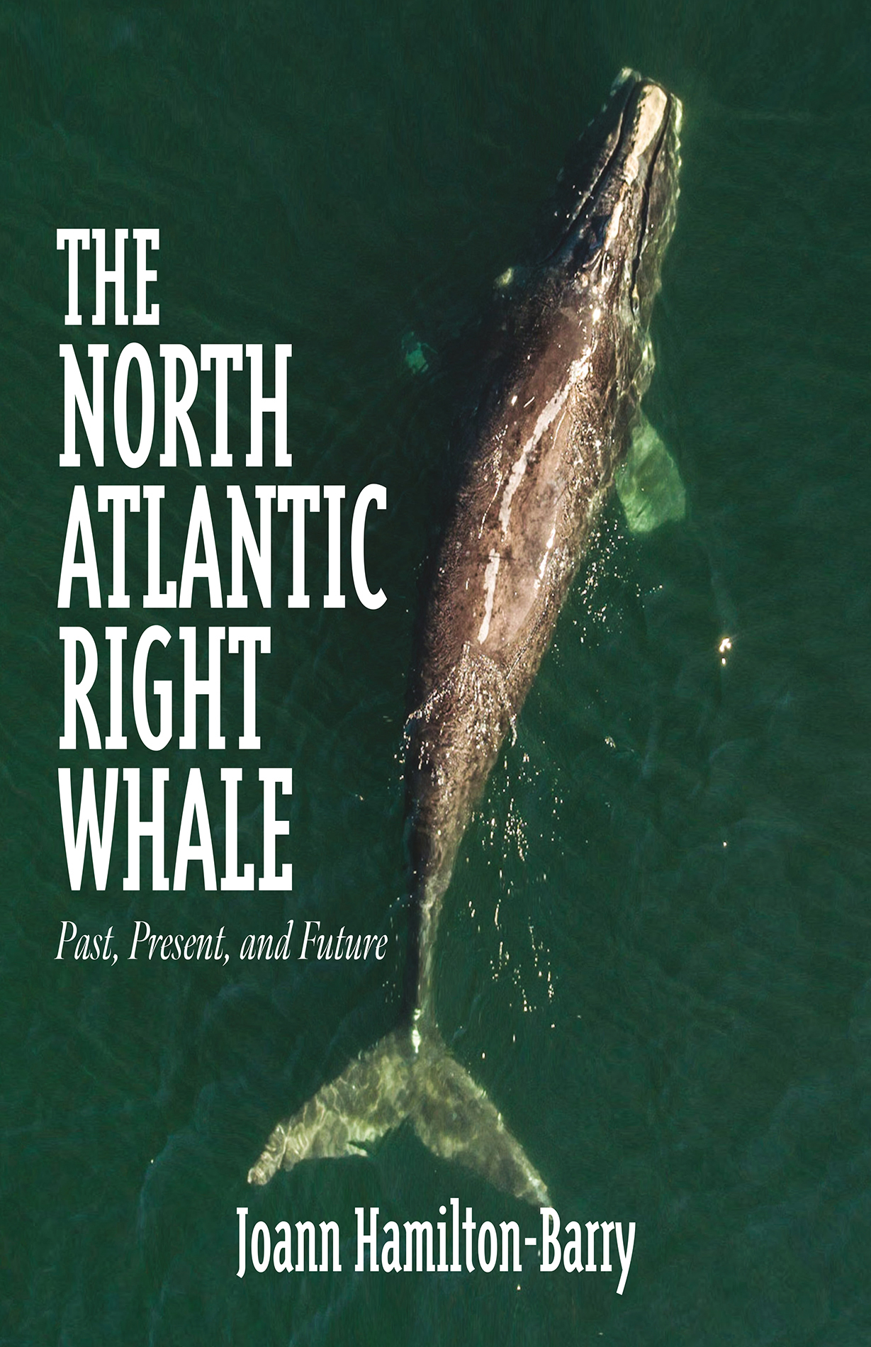 The North Atlantic Right Whale by Joann Hamilton-Barry | Goodreads