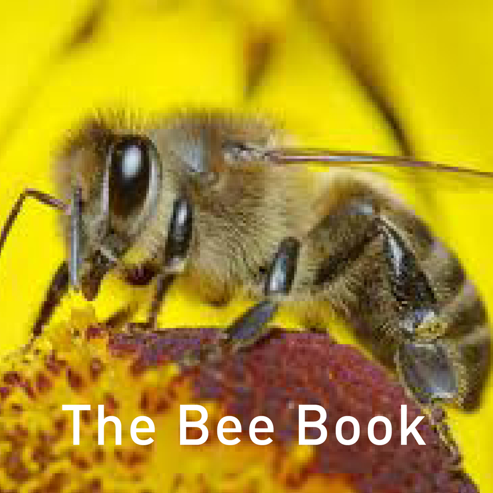 The Bee Book (The Nature Book Series) by Jo Byrne | Goodreads