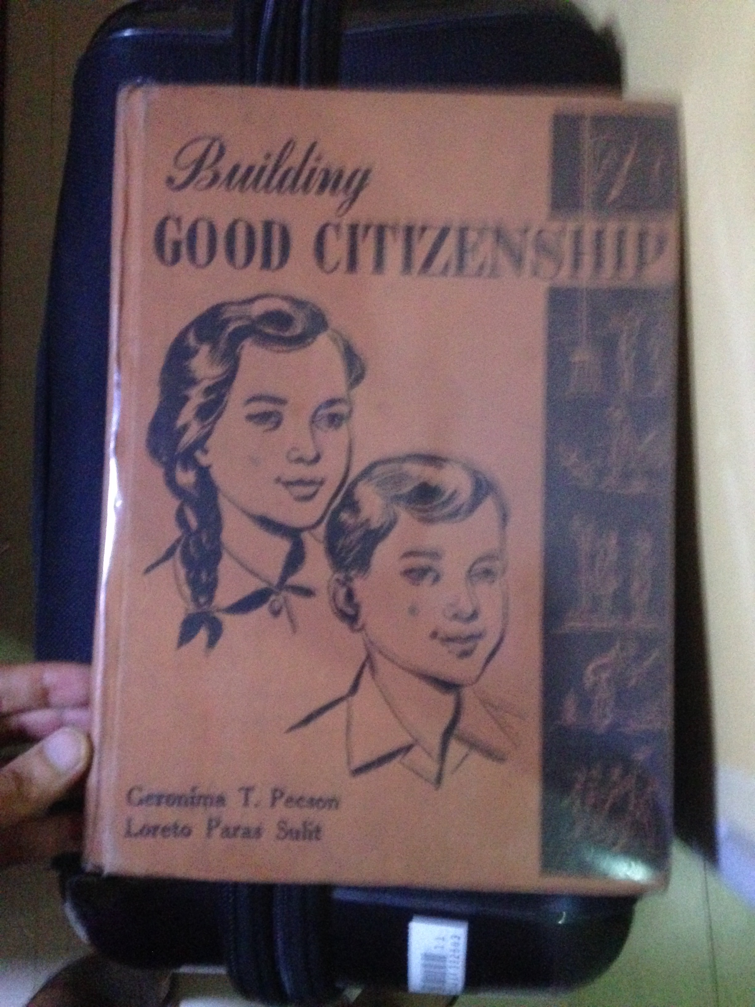 Building Good Citizenship: A Textbook In Civics For Grade VI by ...