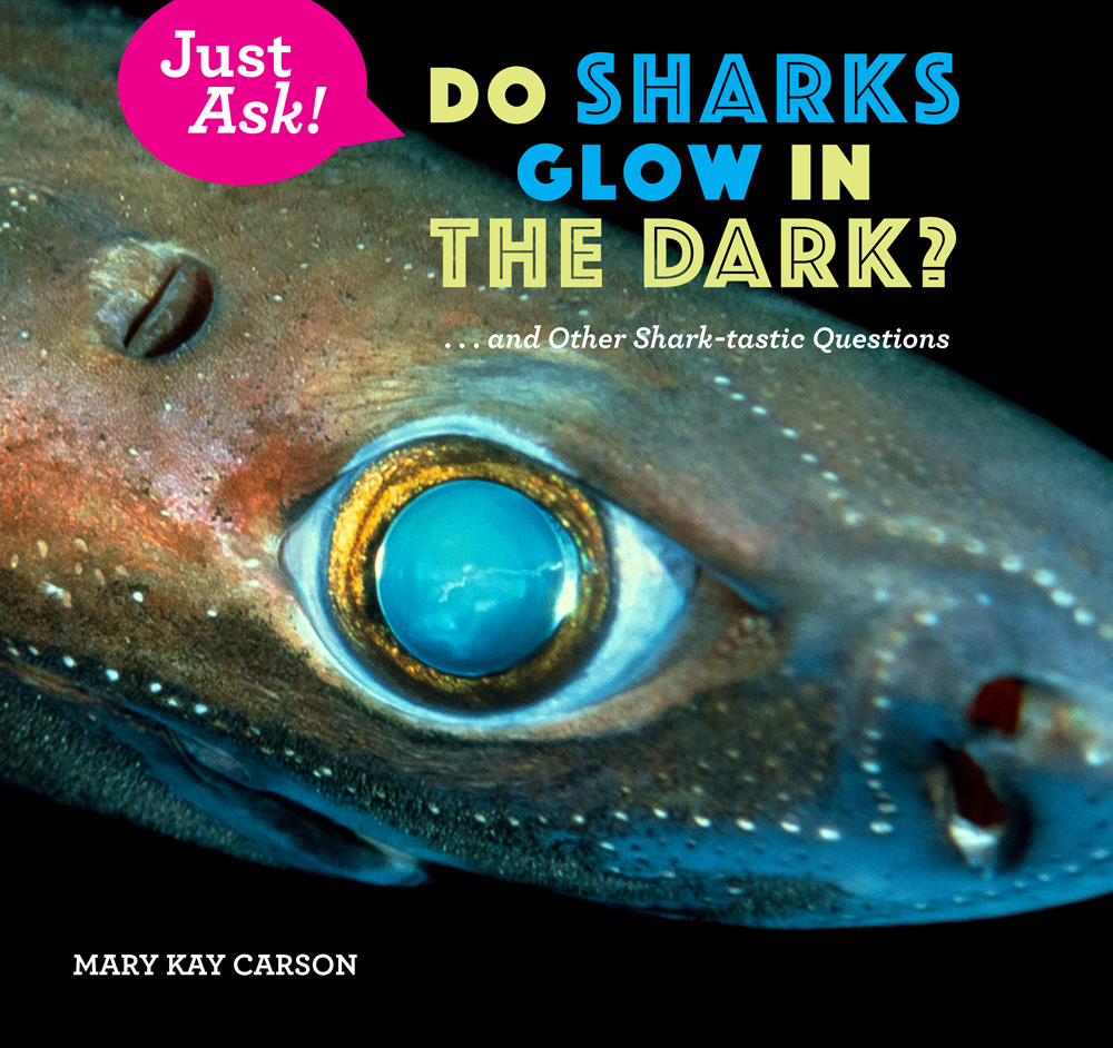 Do Sharks Glow in the Dark?: . . . and Other Shark-tastic Questions by ...