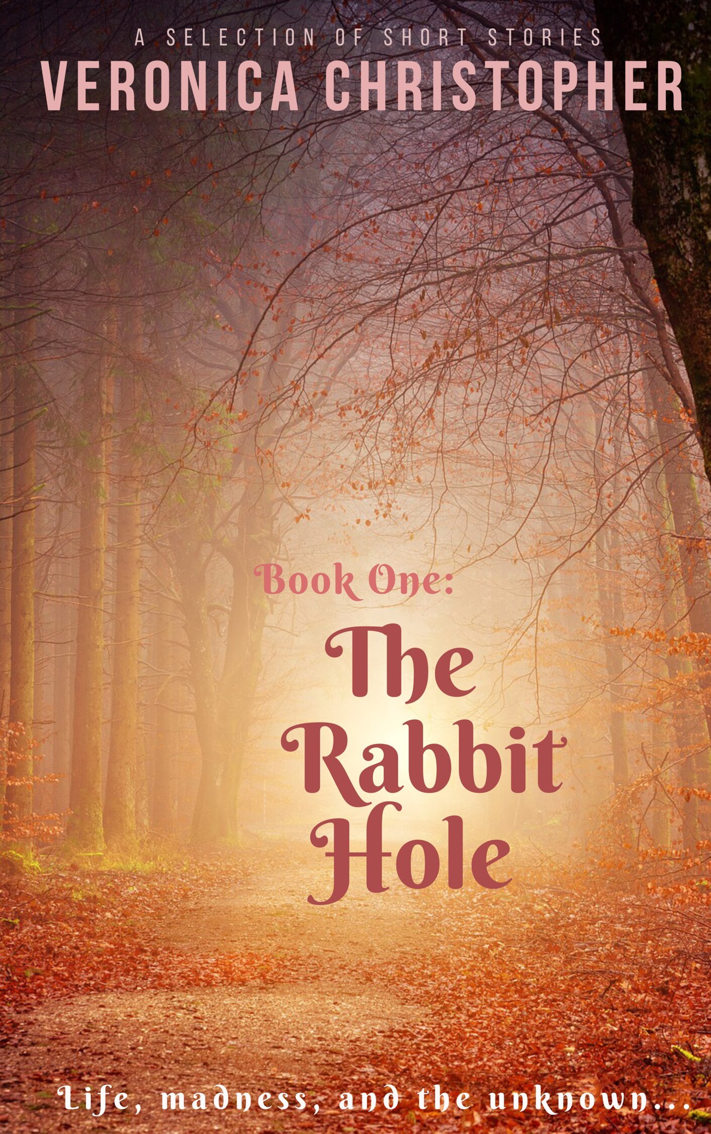 The Rabbit Hole by Veronica Christopher | Goodreads