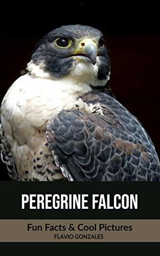 Peregrine Falcon: Fun Facts & Cool Pictures by Flavio Gonzales | Goodreads