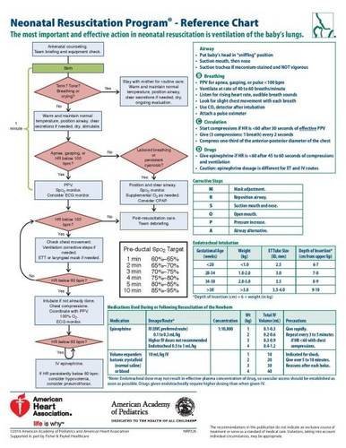 Neonatal Resuscitation Program Reference Chart by American Academy of ...