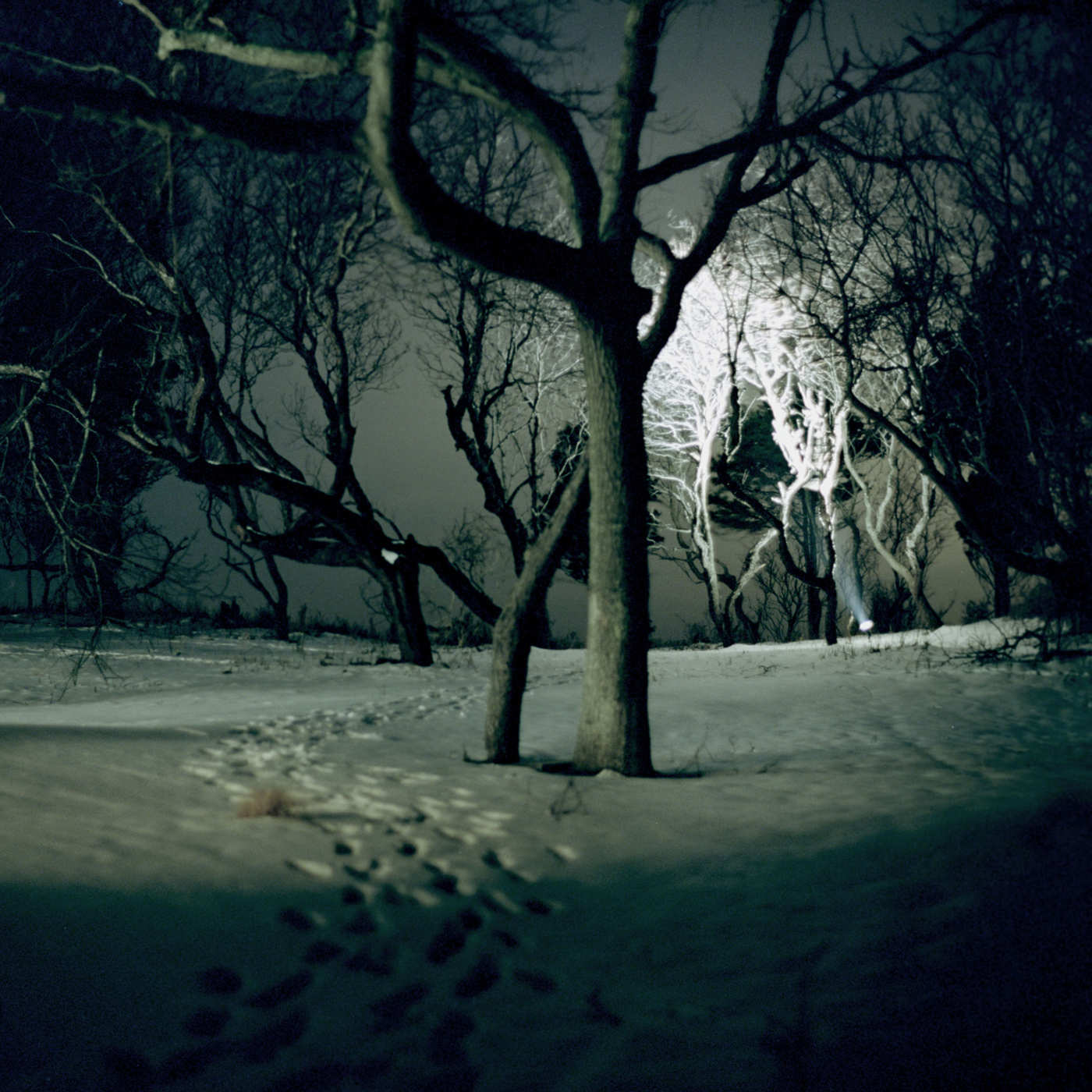 Night Divine by Samantha Hunt | Goodreads