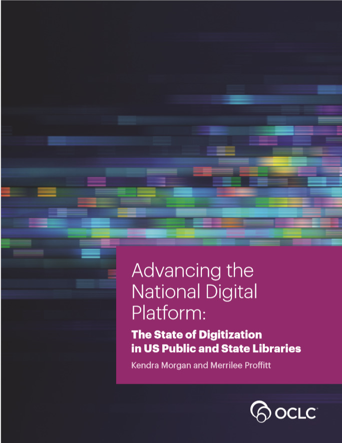 Advancing the National Digital Platform: The State of Digitization in ...