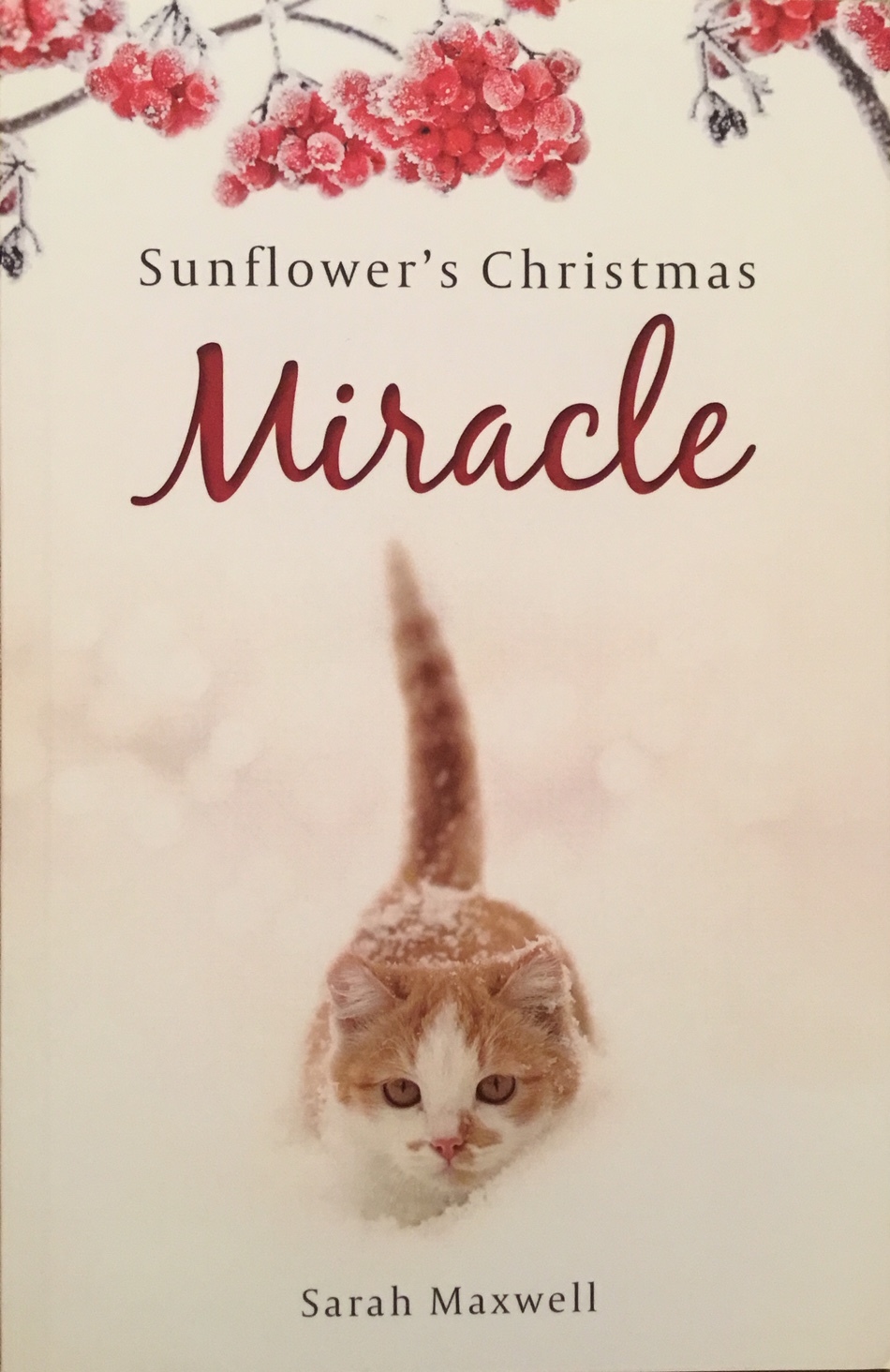Sunflower's Christmas Miracle by Sarah Maxwell | Goodreads