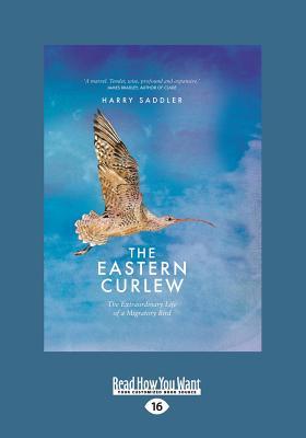 The Eastern Curlew: [Large Print 16pt Edition] by Harry Saddler | Goodreads