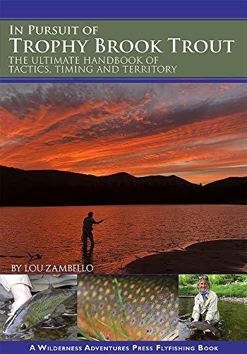 In Pursuit of Trophy Brook Trout: The Ultimate Handbook of Tactics ...