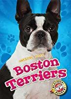 Boston Terriers (Awesome Dogs) by Christina Leaf | Goodreads