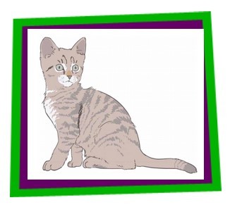 The Stinky Little Kitten by Jim Peterson | Goodreads