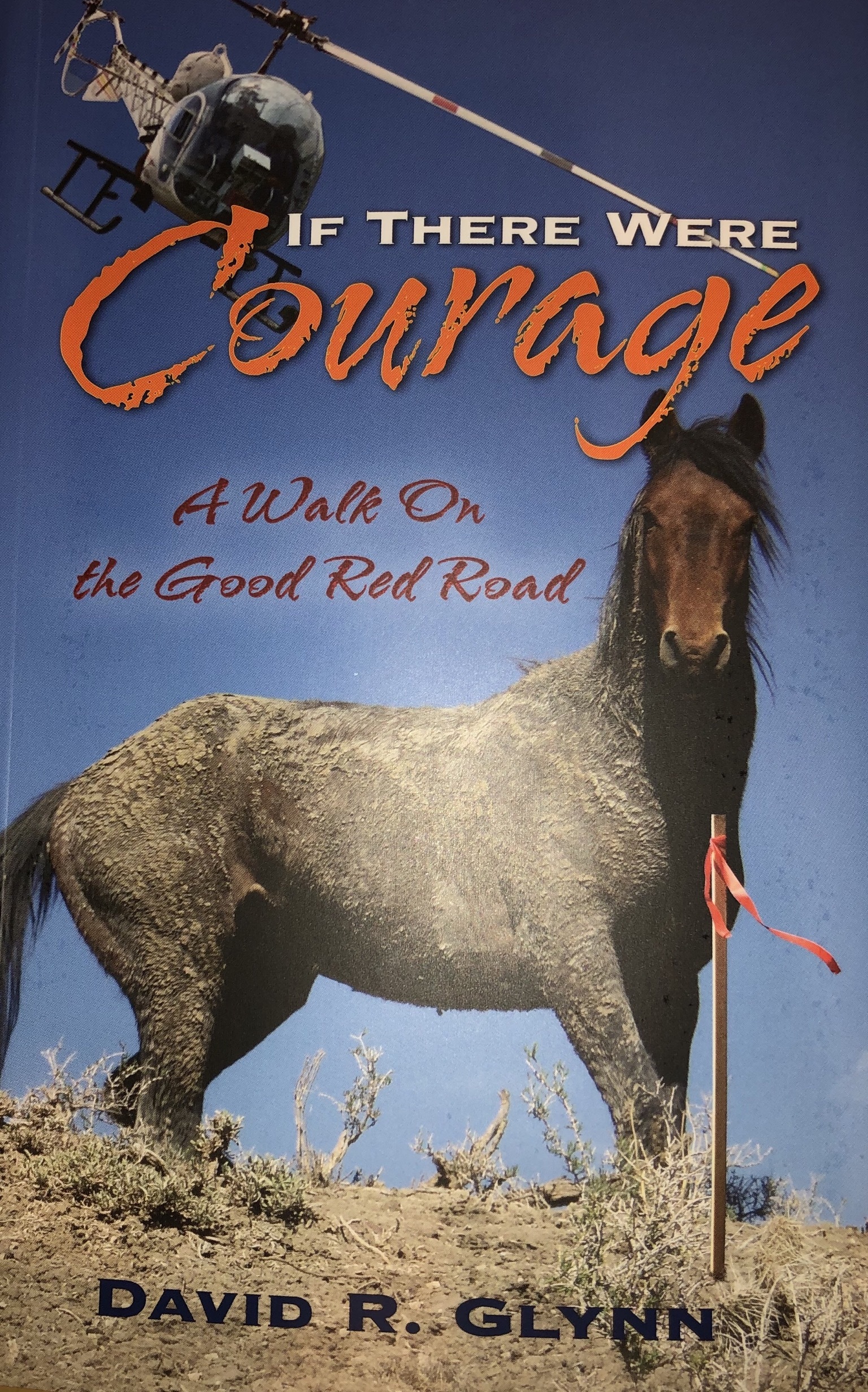 If There Were Courage: A Walk on the Good Red Road by David R. Glynn ...