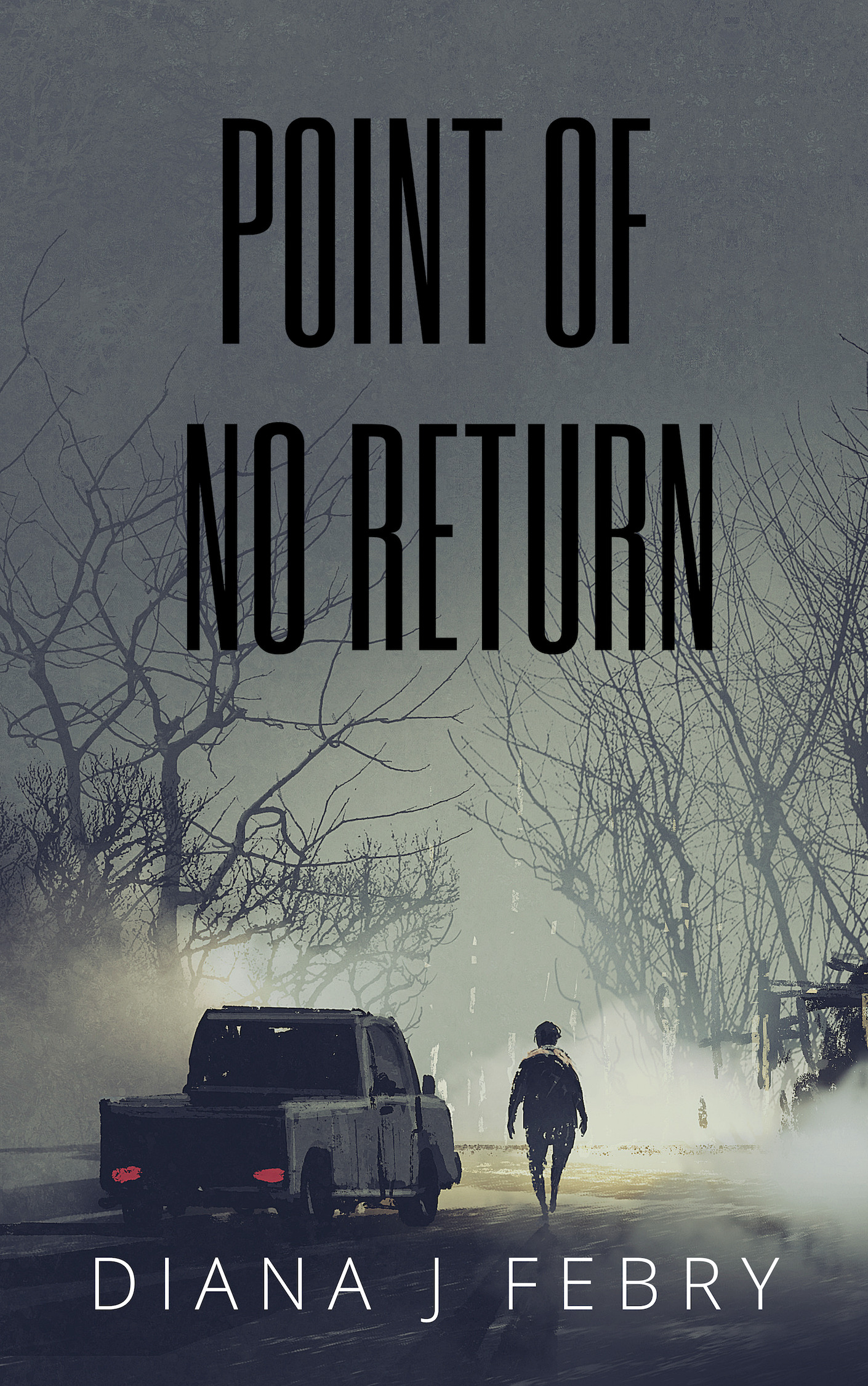 Point of no Return (DCI Peter Hatherall Mystery #3) by Diana J. Febry ...