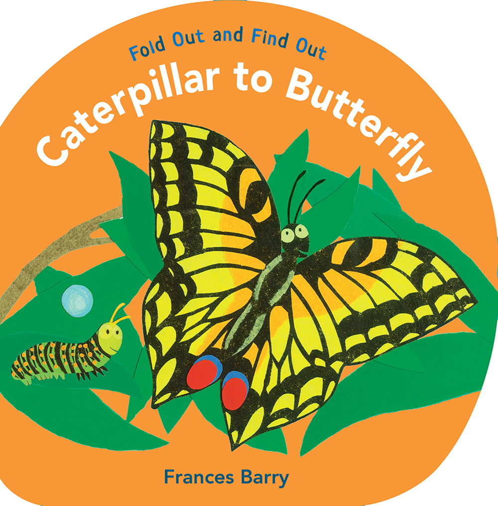 Caterpillar To Butterfly Book