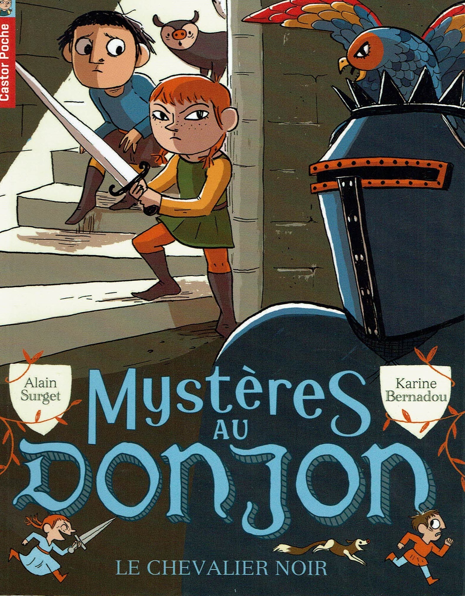 Le chevalier noir by Alain Surget | Goodreads