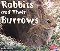 Rabbits and Their Burrows (Animal Homes) by Linda Tagliaferro | Goodreads
