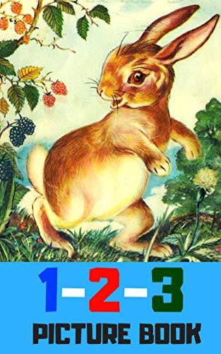 1 2 3 picture book: Number for kid and song by L.T. Raui | Goodreads