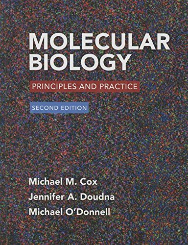 Molecular Biology: Principles and Practice 2e & LaunchPad for Cox's ...