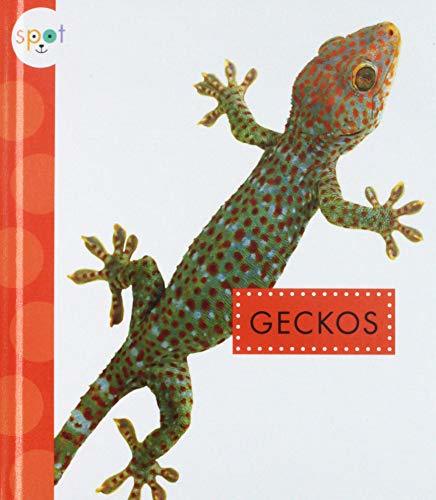 Geckos (Spot Backyard Animals) by Rachel Bach | Goodreads