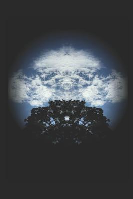 Gateway Mexico: Adventures of another gringo who wanted to be a shaman ...