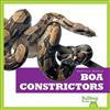 Boa Constrictors (Reptile World) by Imogen Kingsley | Goodreads