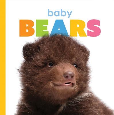 Baby Bears (Starting Out) by Kate Riggs | Goodreads