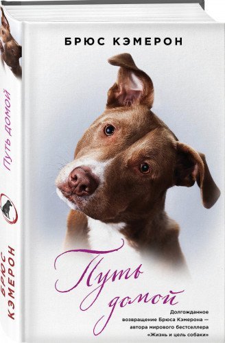 Put domoy by Kemeron B. | Goodreads