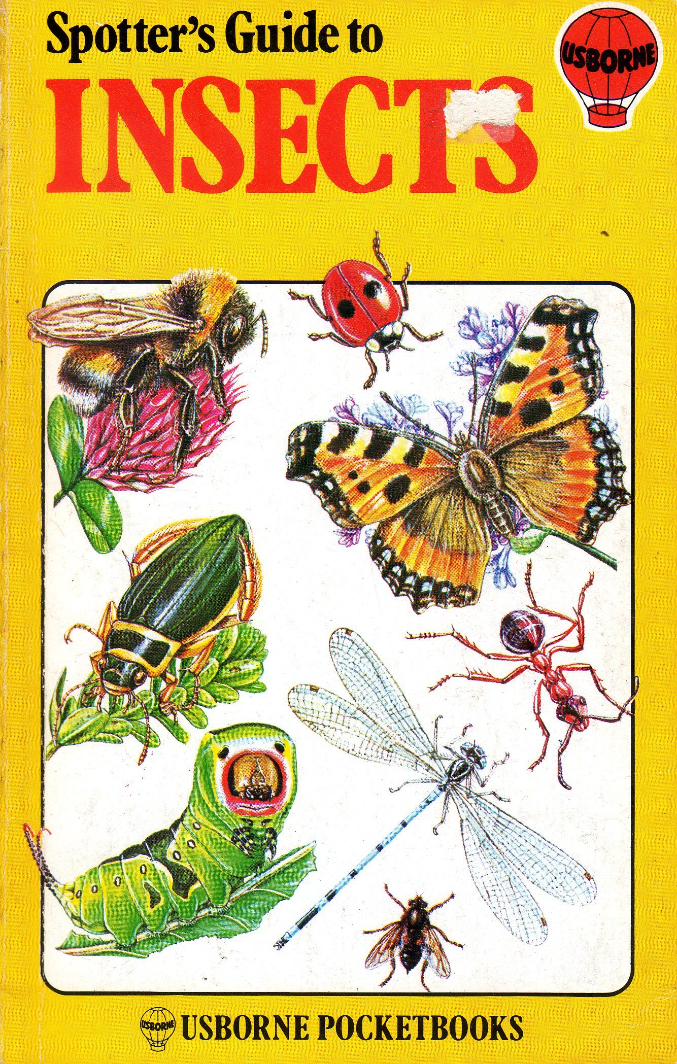 Spotter's Guide to Insects by Anthony Wootton | Goodreads