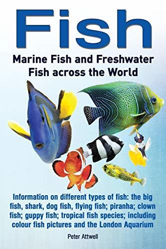 Fish: Marine Fish and Freshwater Fish Across the World: Information on ...
