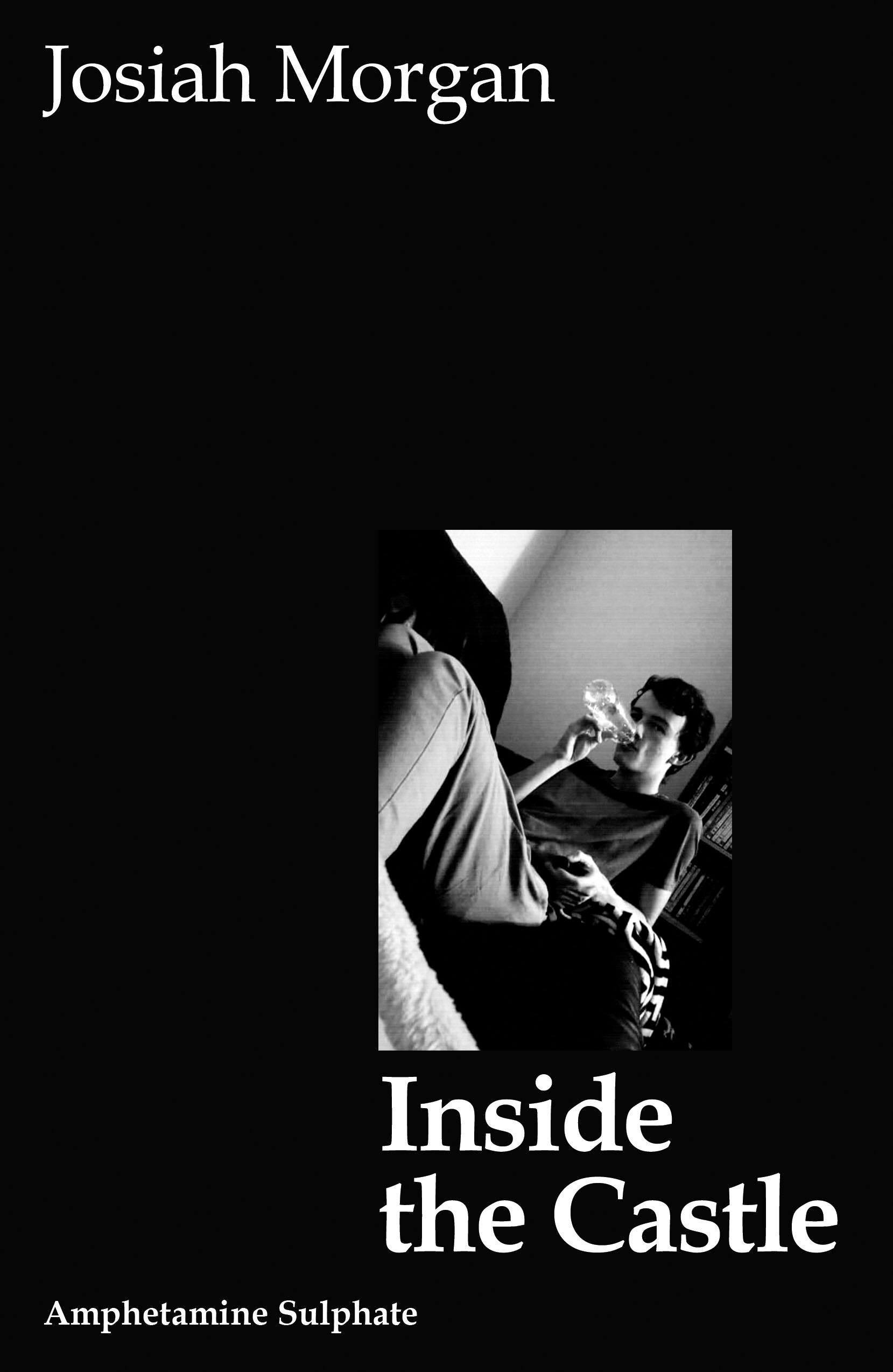 Inside the Castle by Josiah Morgan | Goodreads