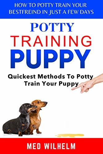 potty training puppy: How to Potty-train Your Puppy in Just A Few Days ...