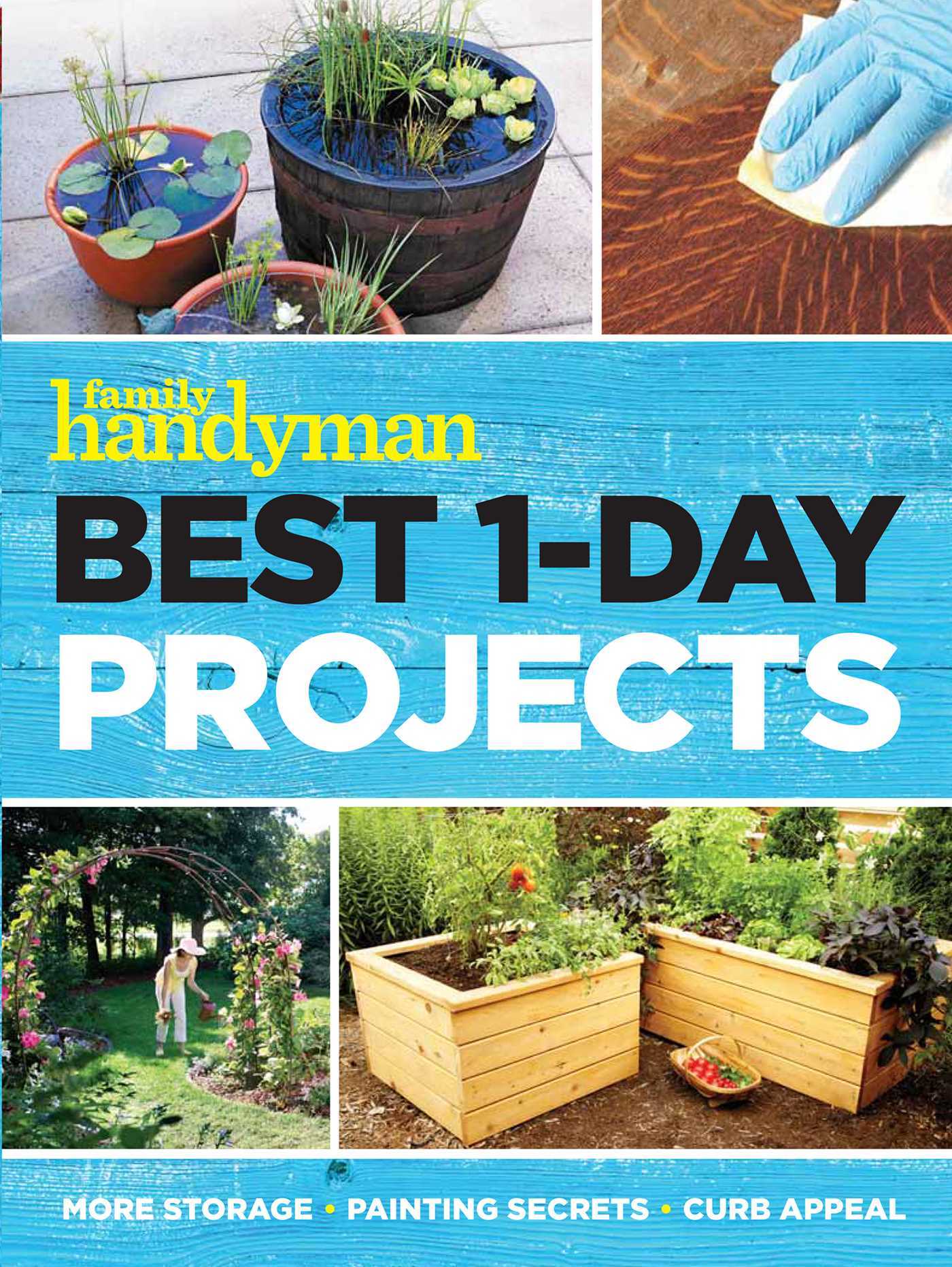 Best 1-Day Projects by Thunder Bay Press | Goodreads