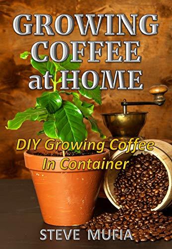 Growing coffee at home: DIY growing coffee in Container by Steve Mufia ...
