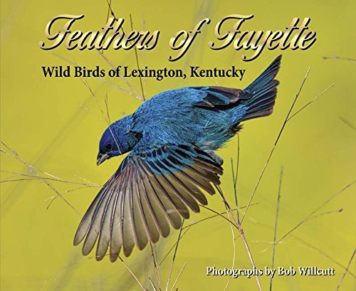 Feathers of Fayette Wild Birds of Lexington, Kentucky by Bob Willcutt ...