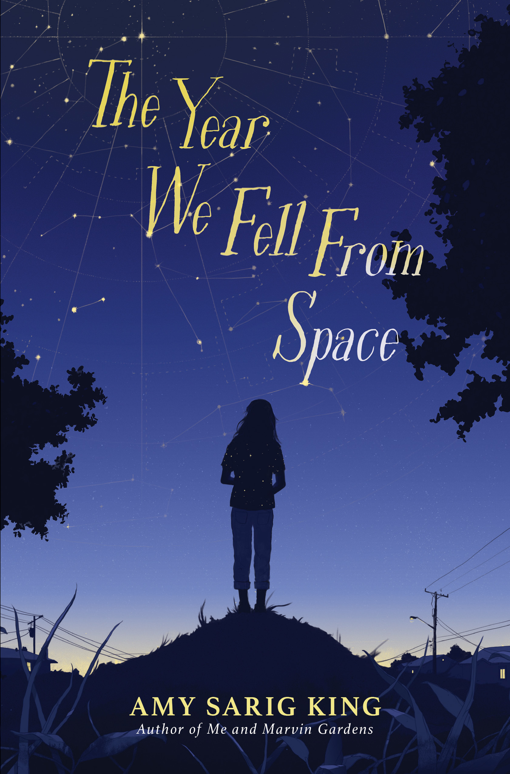 The Year We Fell From Space by Amy Sarig King | Goodreads