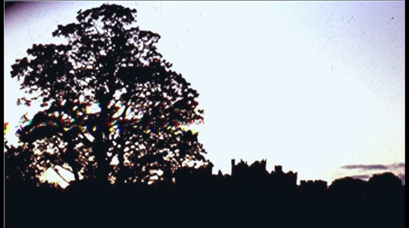 Post Mortem Shock by R.D. Wingfield | Goodreads