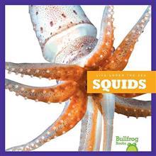Squids (Life Under the Sea) by Mari Schuh | Goodreads