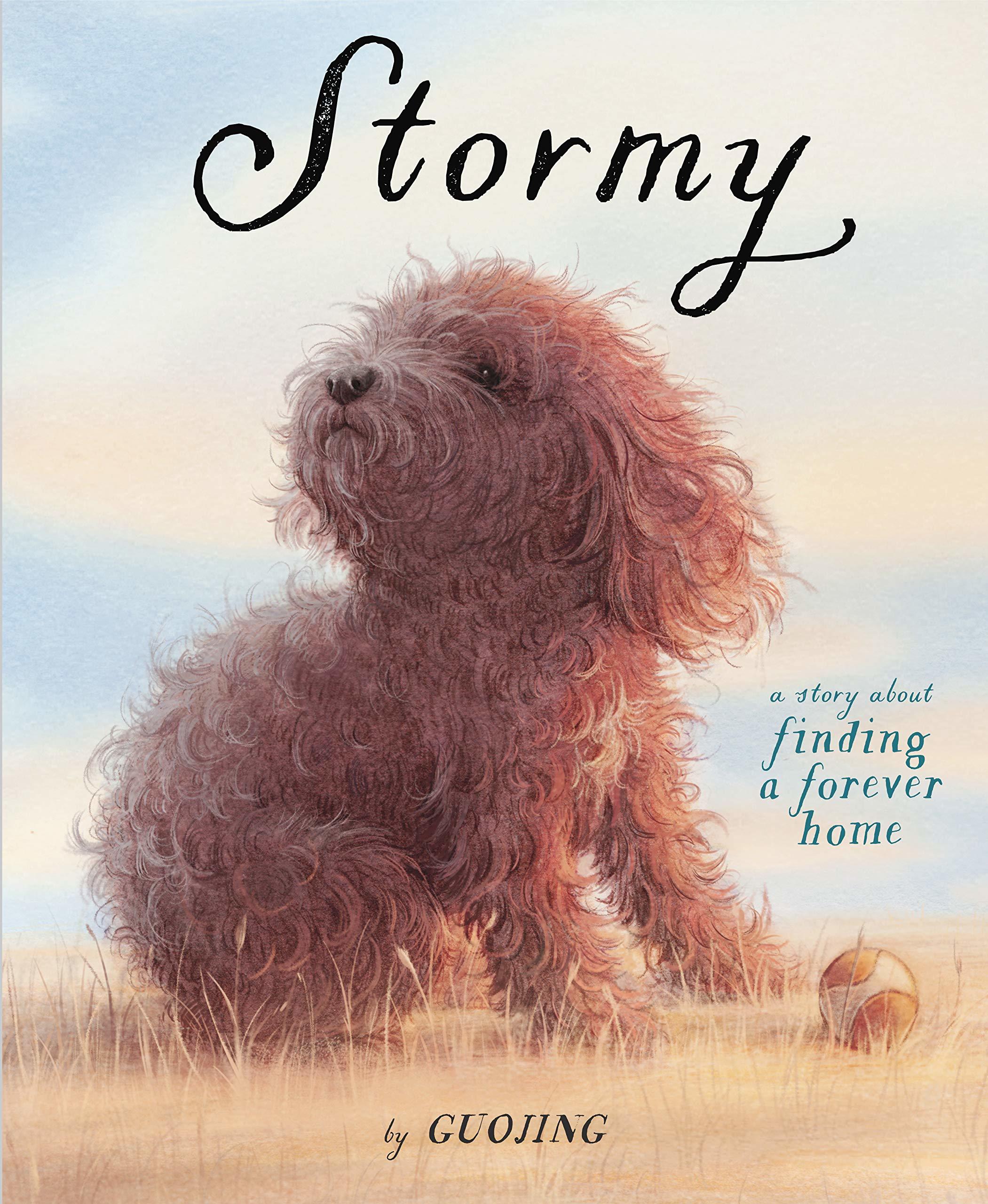 Stormy: A Story about Finding a Forever Home by Guojing | Goodreads