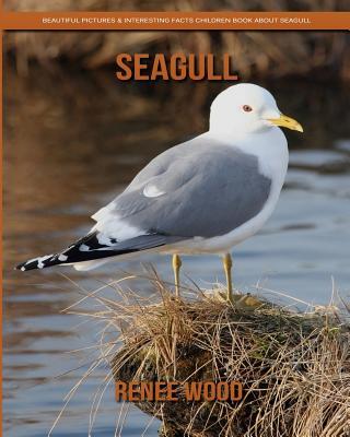 Seagull: Beautiful Pictures & Interesting Facts Children Book about ...