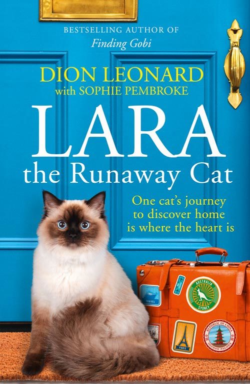 Lara The Runaway Cat: One Cat’s Journey to Discover Home Is Where the ...