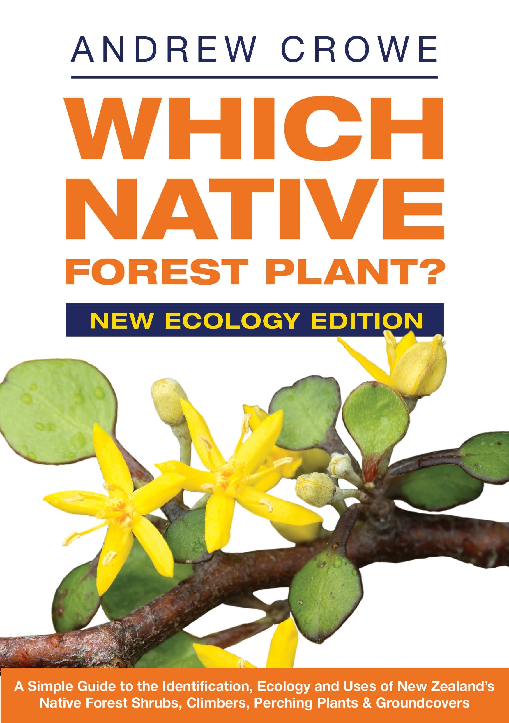 Which Native Forest Plant?: A Simple Guide to the Identification of New ...
