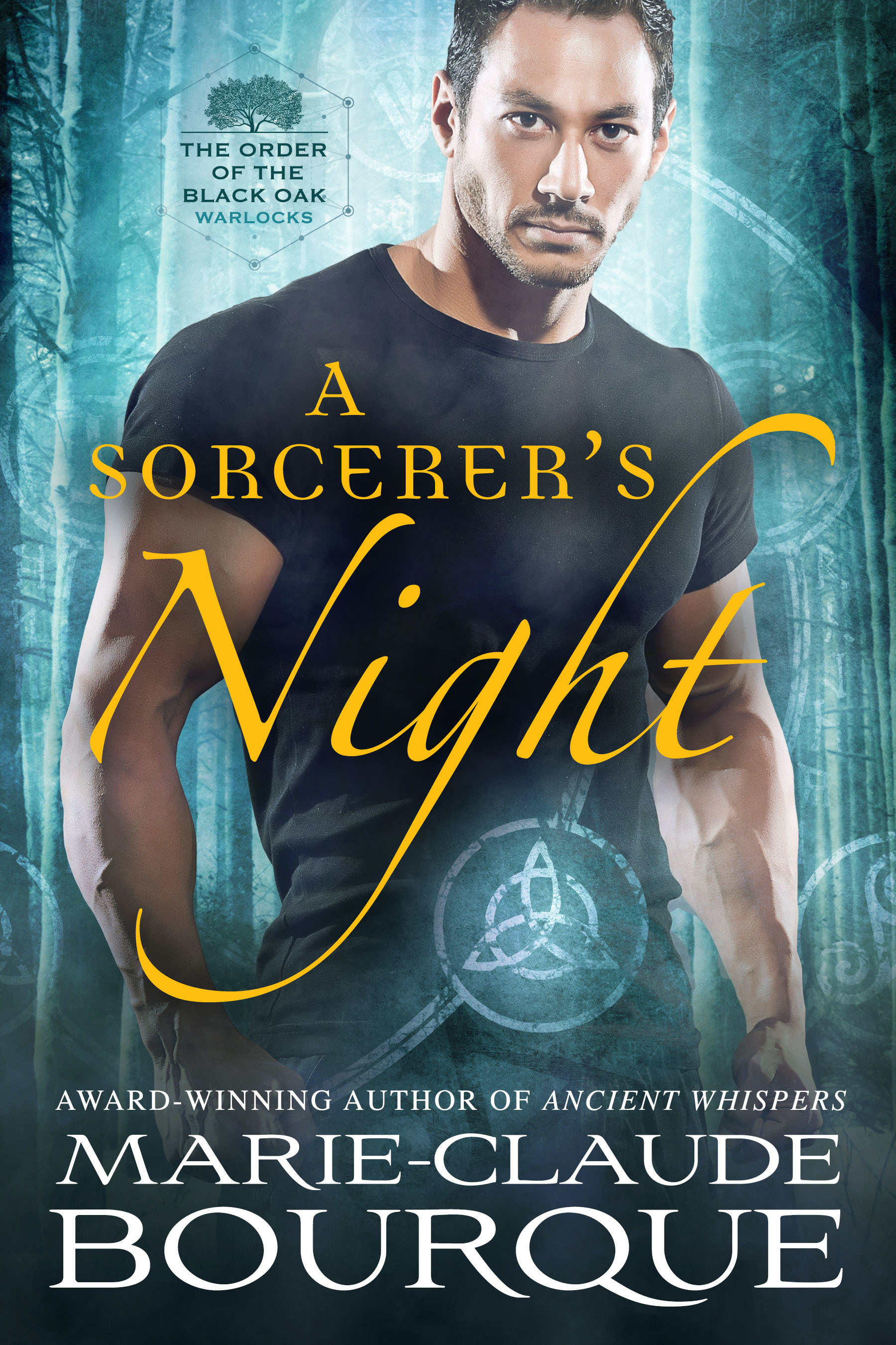 A Sorcerer's Night by Marie-Claude Bourque | Goodreads