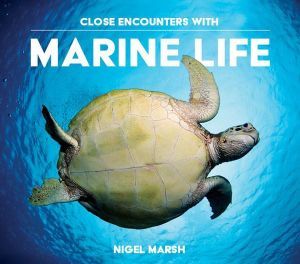 Close Encounters with Marine Life by Nigel Marsh | Goodreads