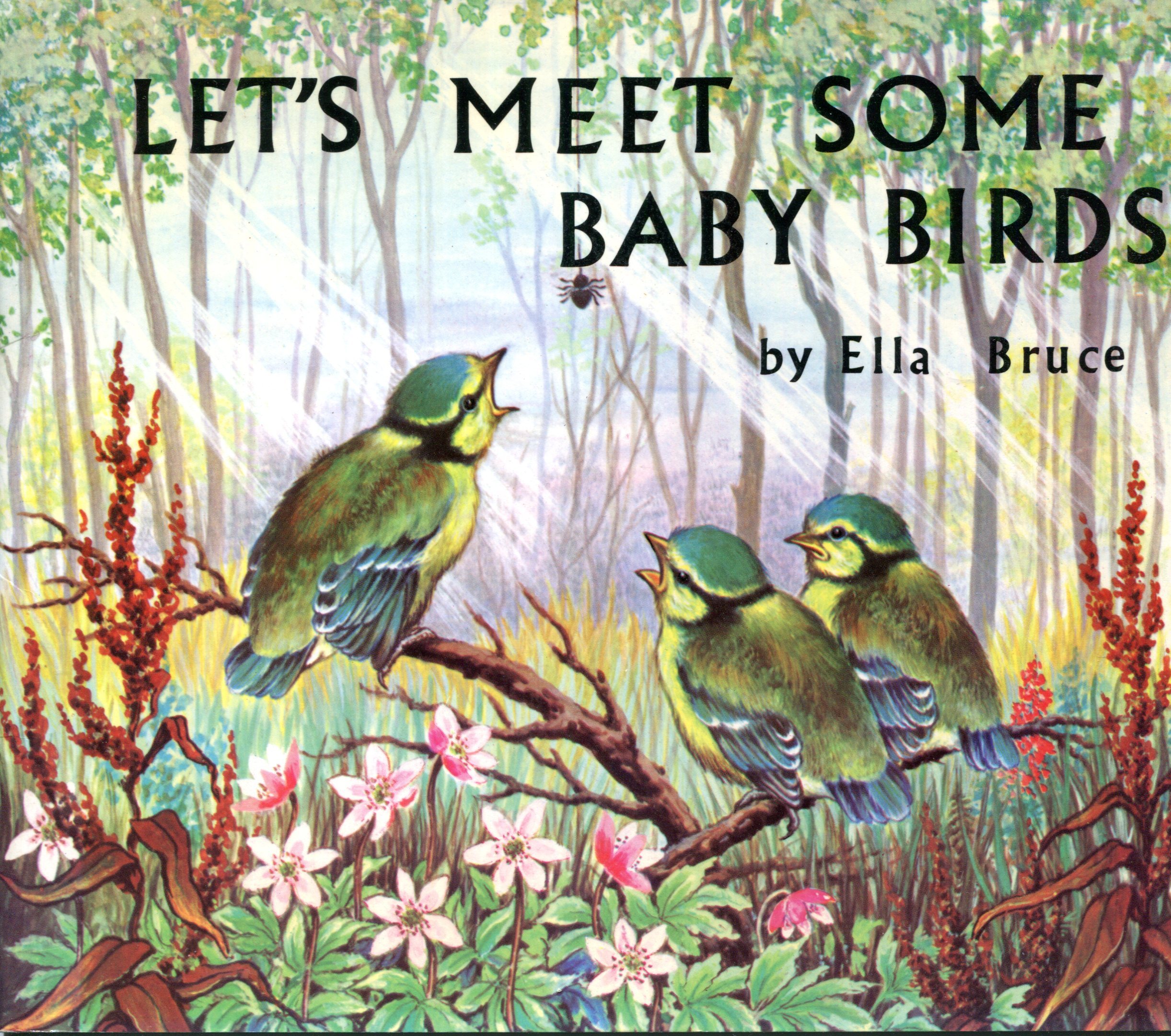 Let's Meet Some Baby Birds by Ella Bruce | Goodreads