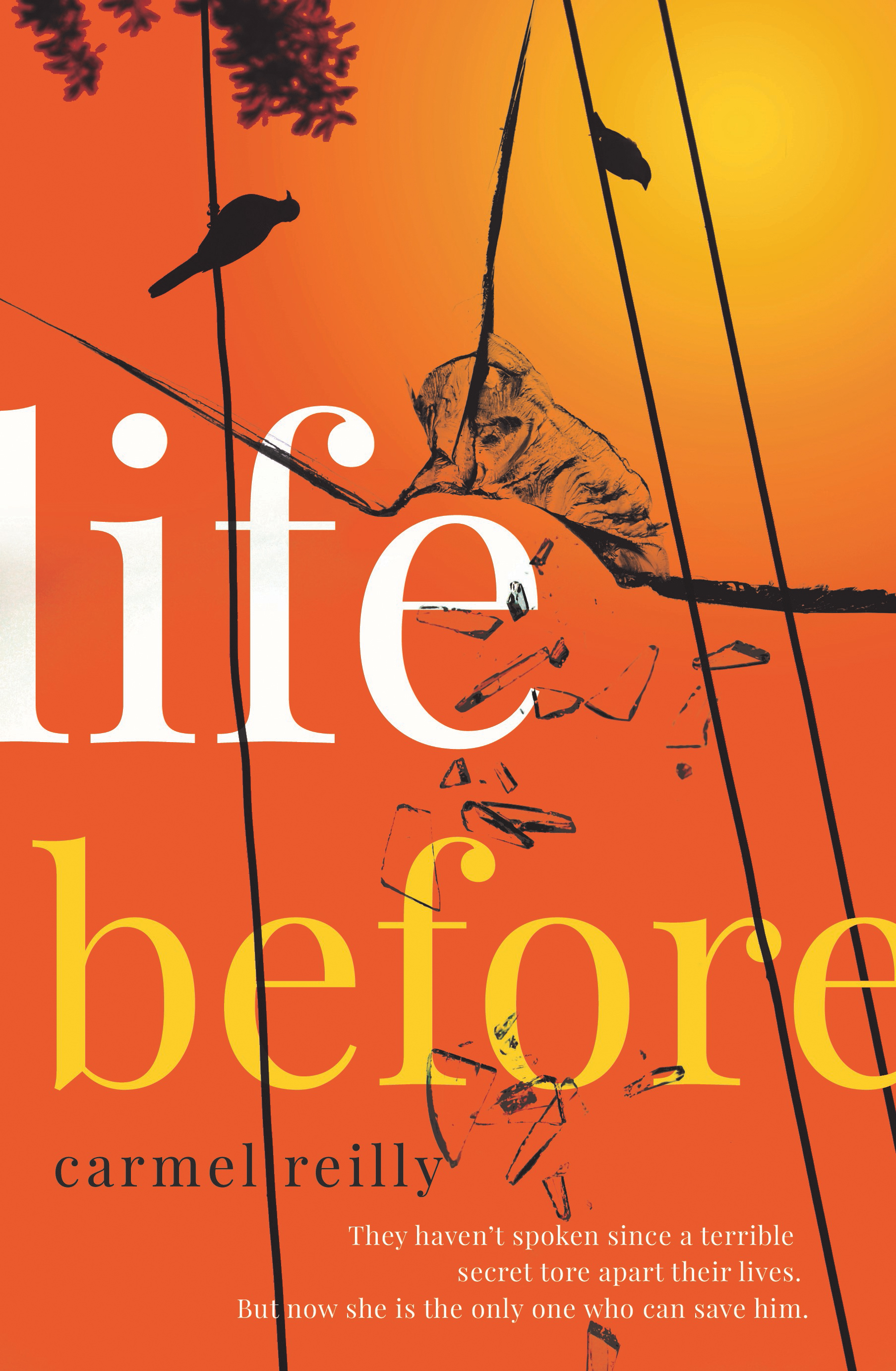 Life Before by Carmel Reilly | Goodreads