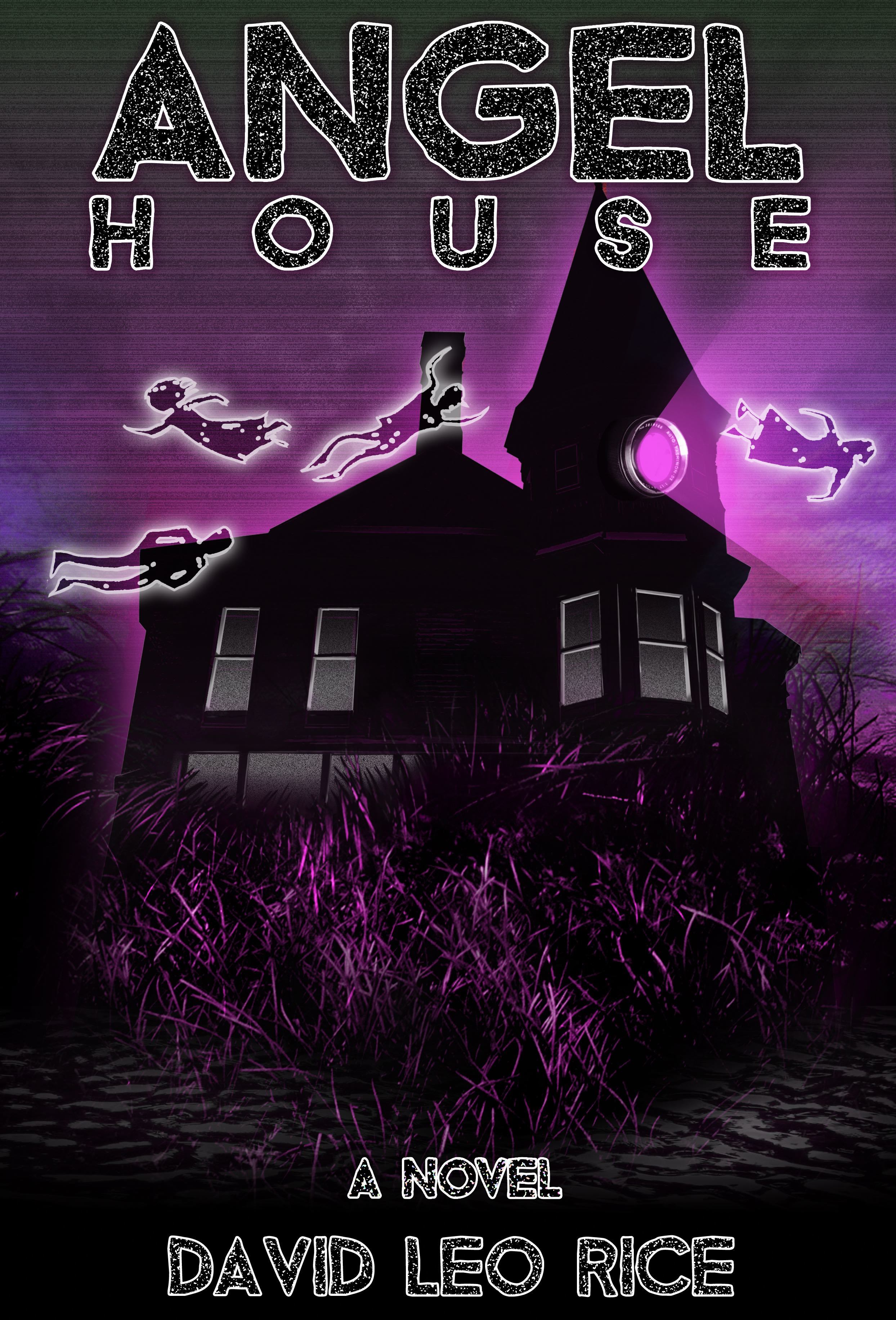 Angel House by David Leo Rice | Goodreads