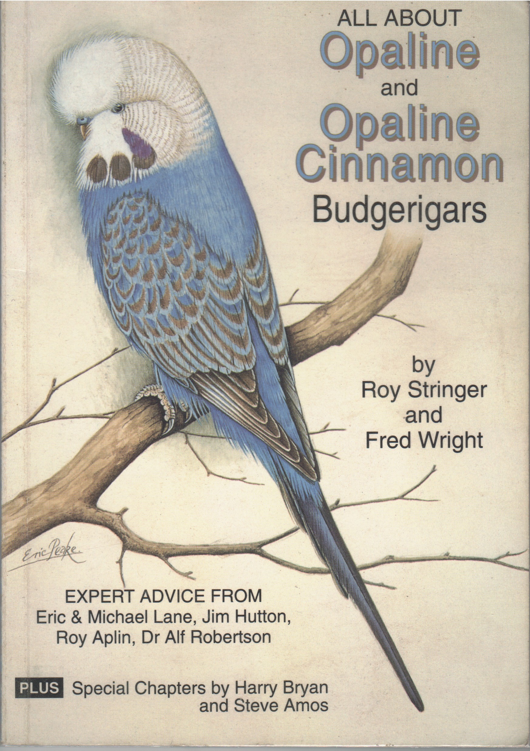 All about Opaline and Opaline Cinnamon Budgerigars by Roy Stringer ...