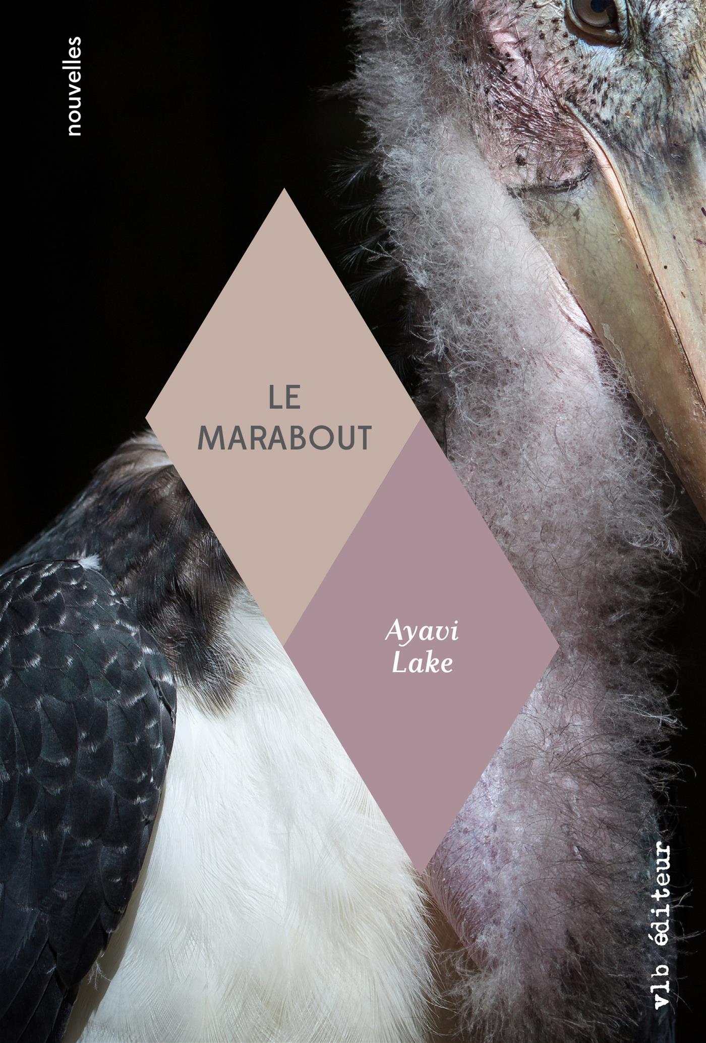 Le marabout by Ayavi Lake | Goodreads