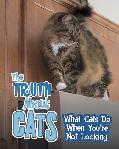Truth About Cats by Mary Colson | Goodreads