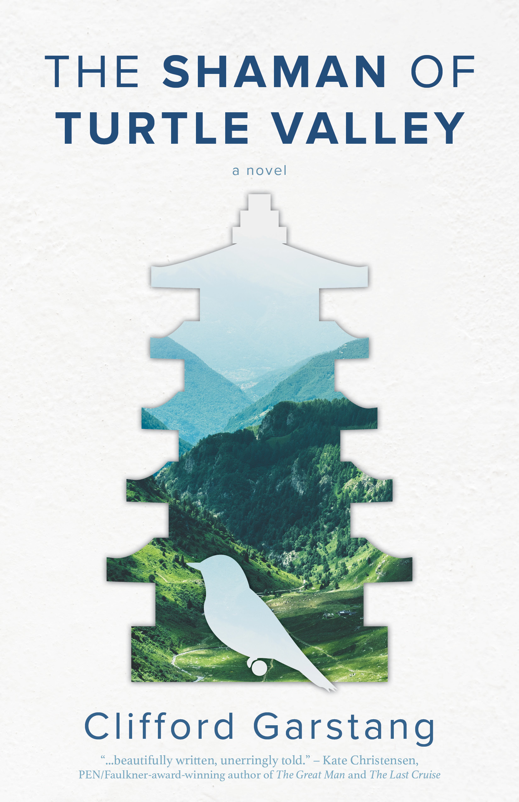 The Shaman of Turtle Valley by Clifford Garstang | Goodreads